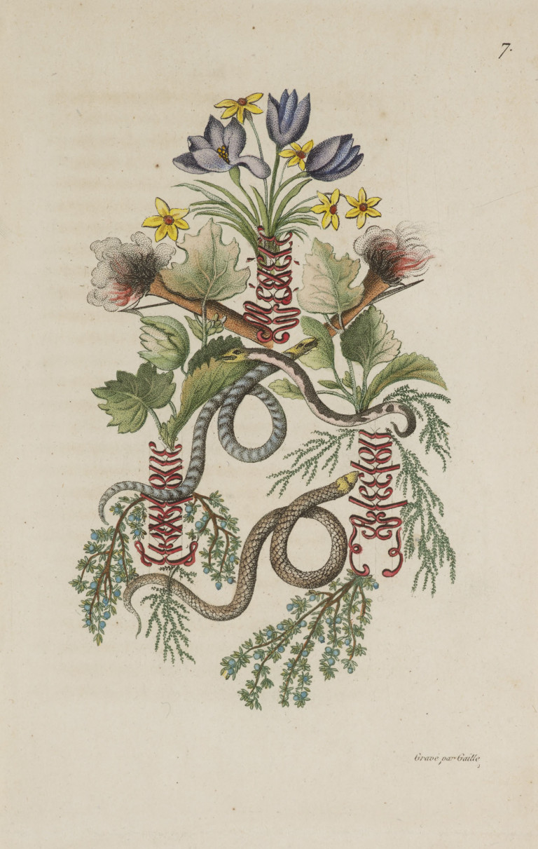 ou les attributs de toutes les divinités de la fable. 2 Bde. Mit 78 ...